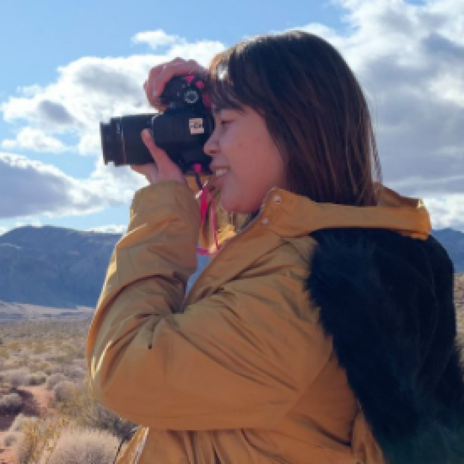 About Us - Wise Cleaner